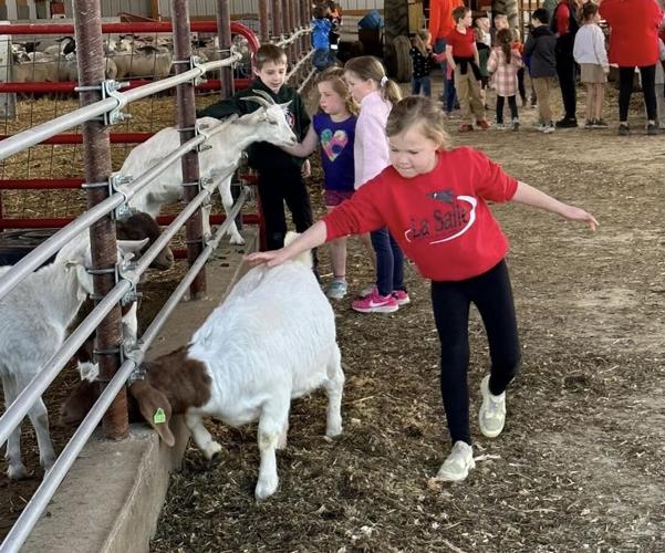 School Page: Catholic Highlights | | dyersvillecommercial.com