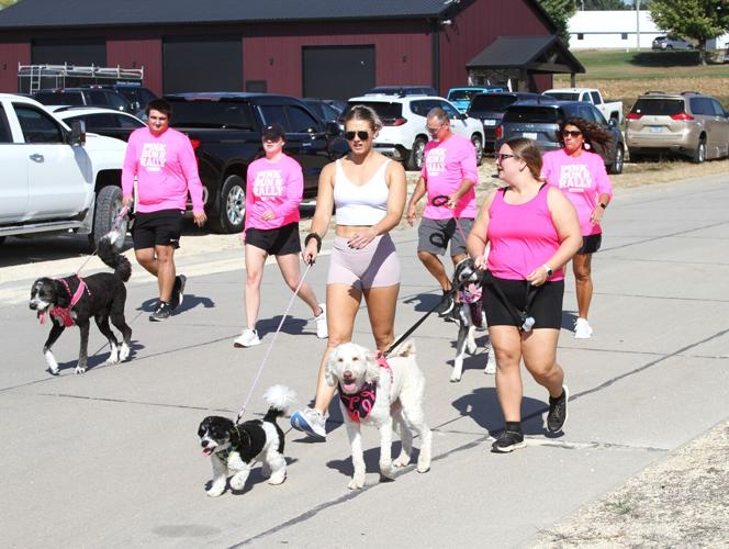 Runners think pink in Dyersville | Sports | dyersvillecommercial.com