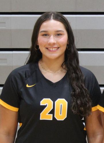 Wildcats garner TRC honors | Sports | dyersvillecommercial.com