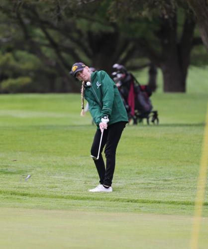 Beckman finishes third in RVC | Sports | dyersvillecommercial.com