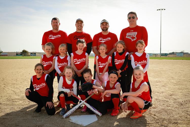 Little league- Softball | | dyersvillecommercial.com