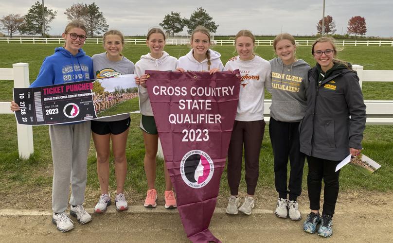 Congratulations, state qualifiers | Sports | dyersvillecommercial.com