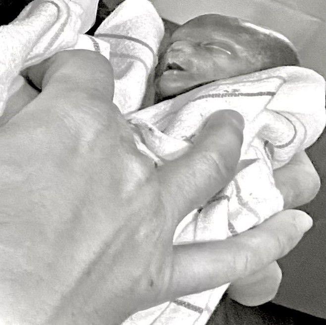 Obituaries | dyersvillecommercial.com