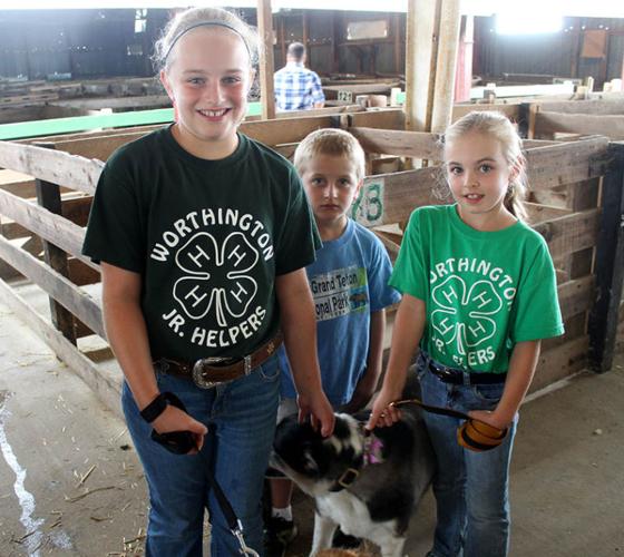 Dubuque County Fair | Multimedia | dyersvillecommercial.com