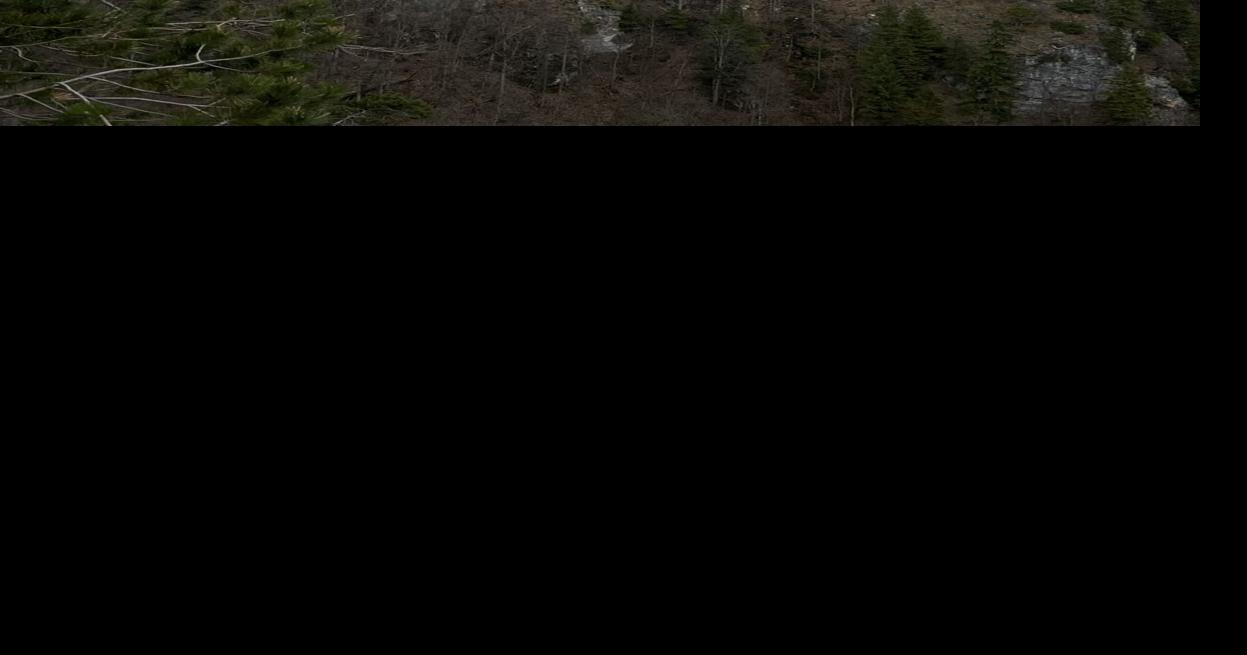 Learning around the world | Opinion | easternprogress.com