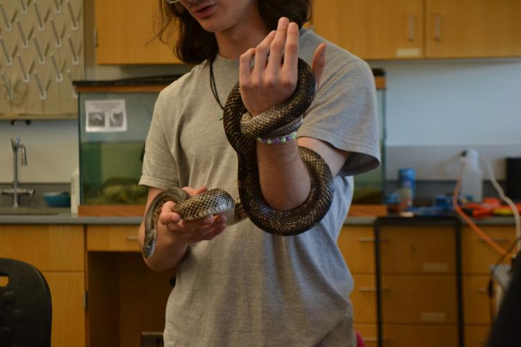 EKU host animal ambassadors showcasings | PHOTOS | easternprogress.com