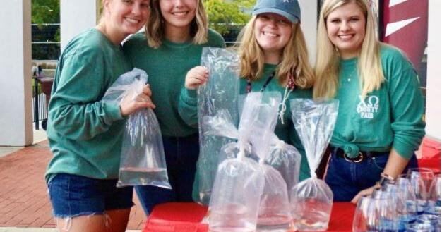 Chi Omega hosts pop up County Fair at EKU | News | easternprogress.com