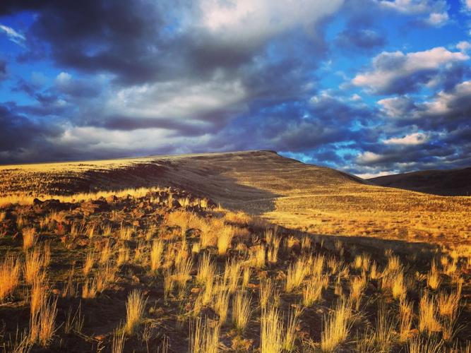 Three hikes to explore the Yakima area in the spring | Outdoor ...