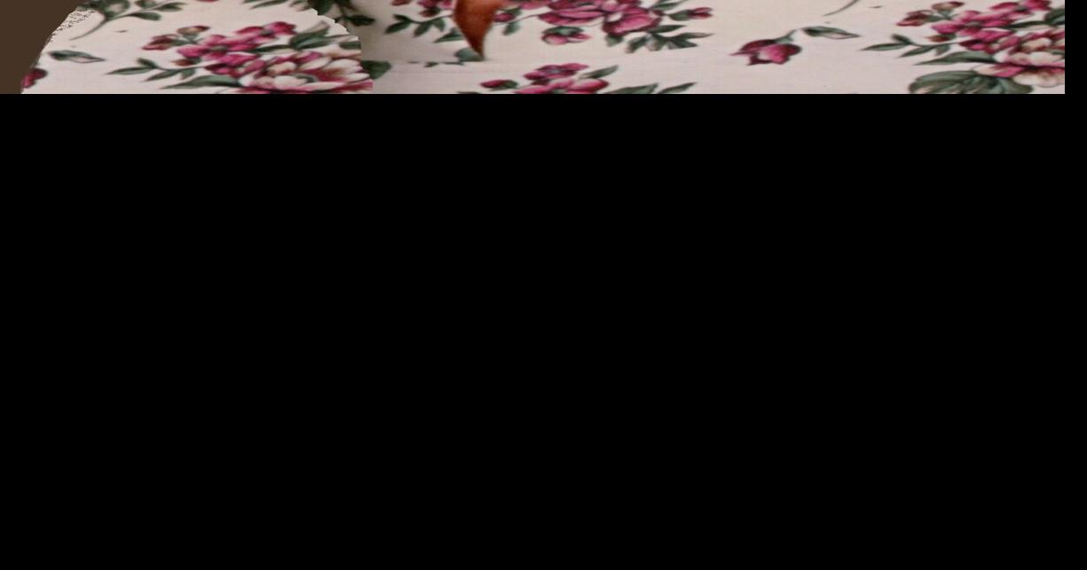 CORRINE H. POGRANT | Deaths | ehextra.com