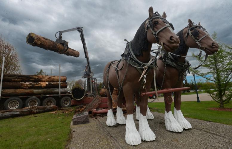 Stephenson Island’s logging display undergoes renovations | Community ...
