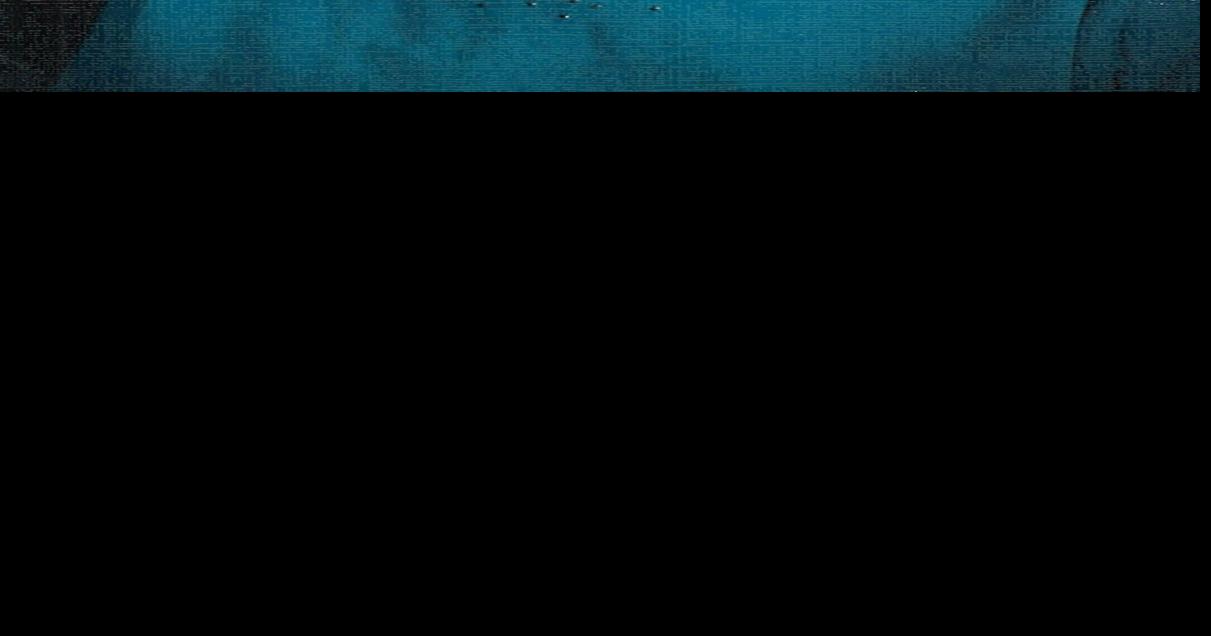 MARILYNN E. HOHENEDER | Death Notices | ehextra.com