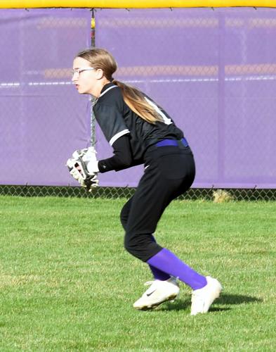 Marinette's Cole collects First Team All-NEC laurels | Sports | ehextra.com