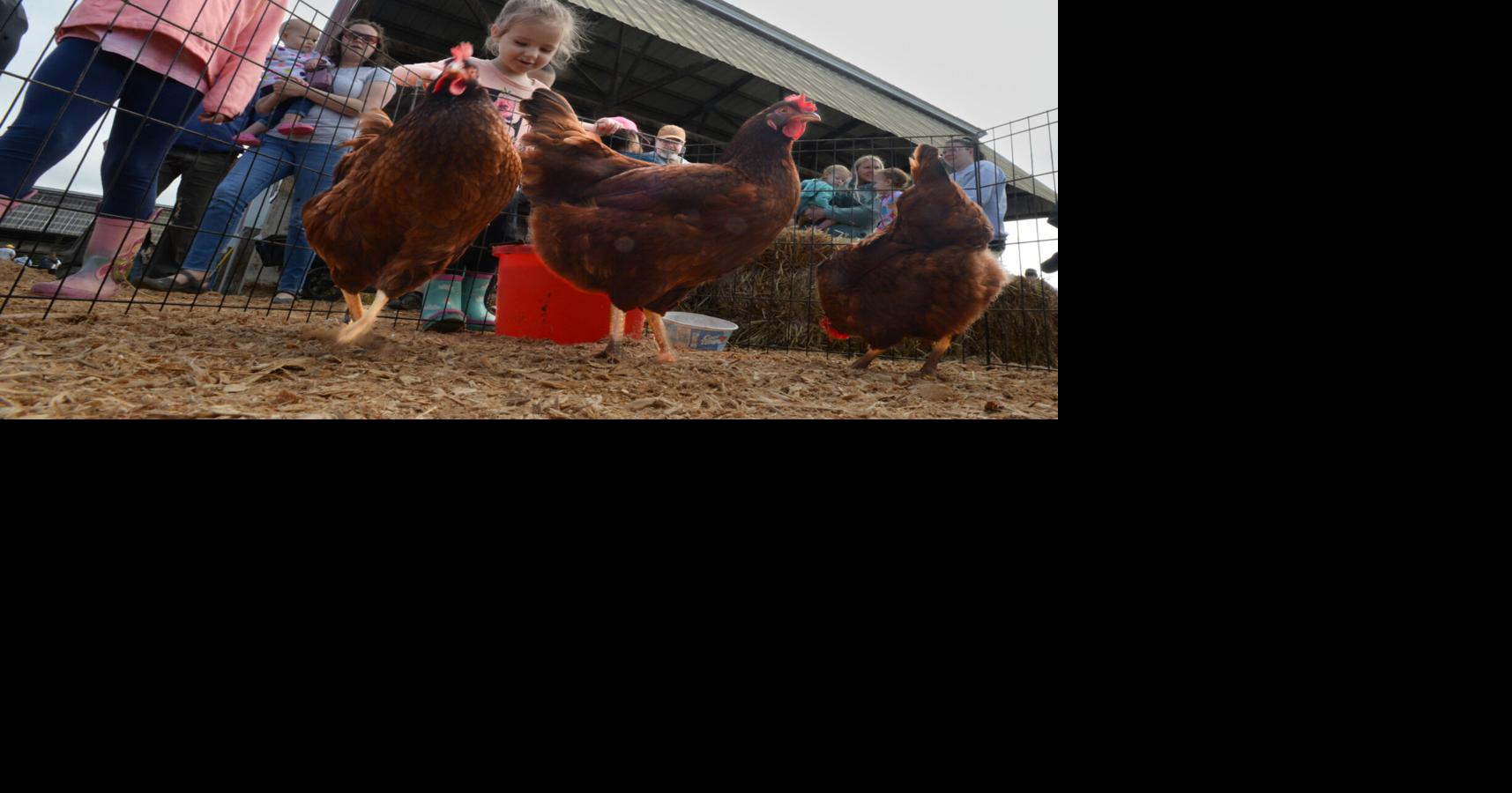 Breakfast on the Farm | News | ehextra.com