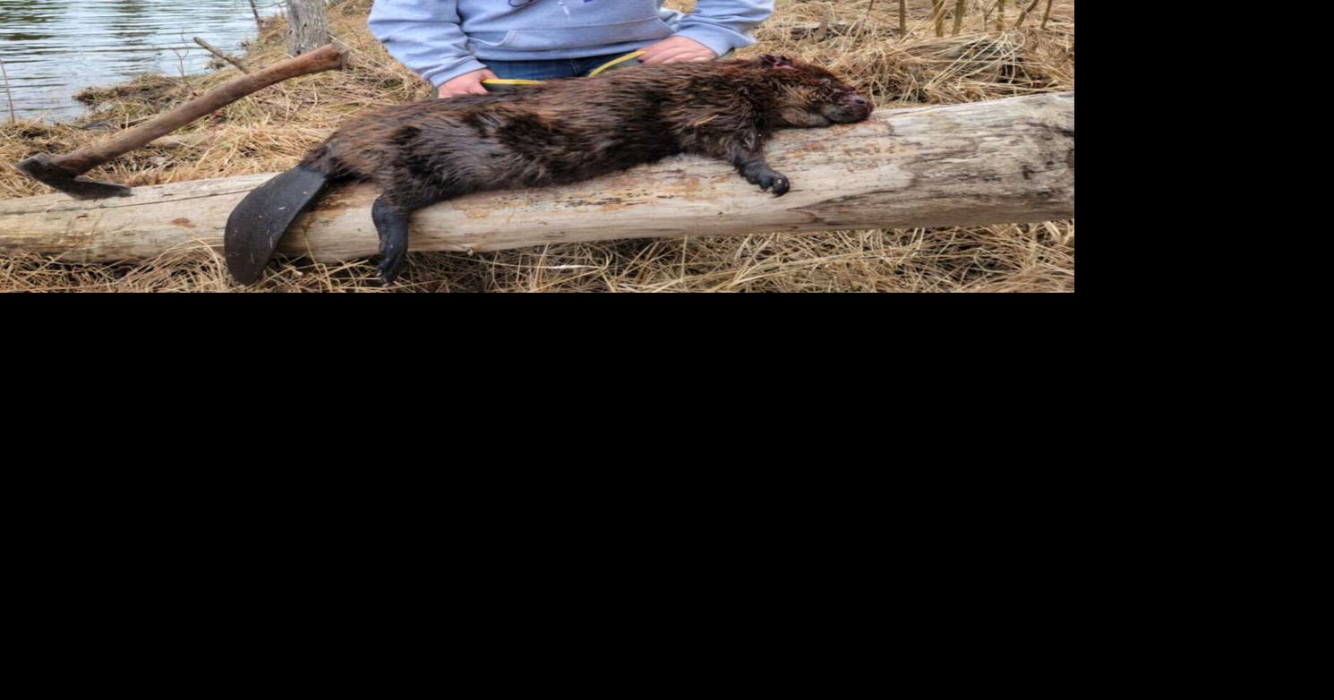 Trappers Convention/Outdoor Expo returns to Escanaba | News | ehextra.com