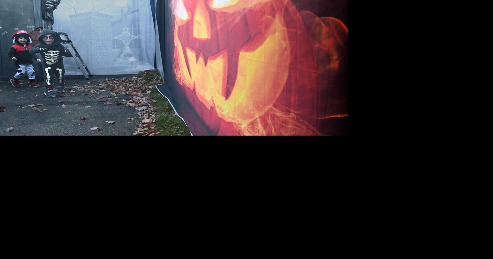 Giant pumpkin | | ehextra.com