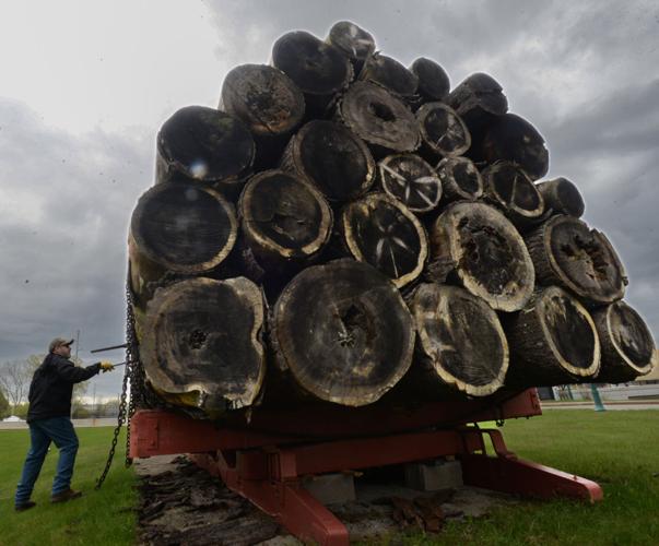 Stephenson Island’s logging display undergoes renovations | Community ...