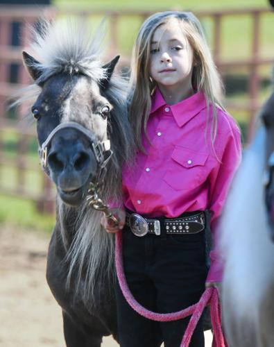 Lily and her mini horse | | ehextra.com