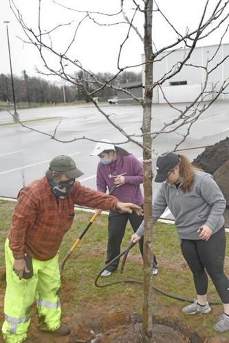 MHS students help mother nature | News | ehextra.com