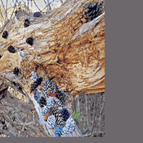 Taking art to another level | | ehextra.com