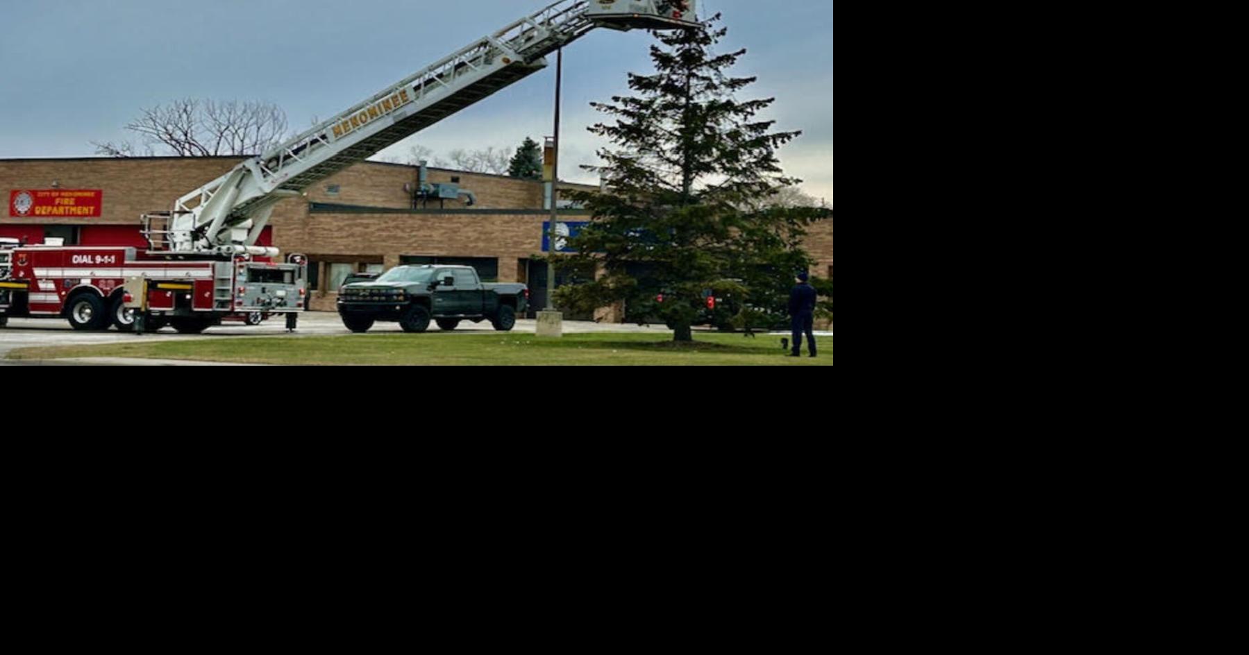 Tall tree trim | Community | ehextra.com