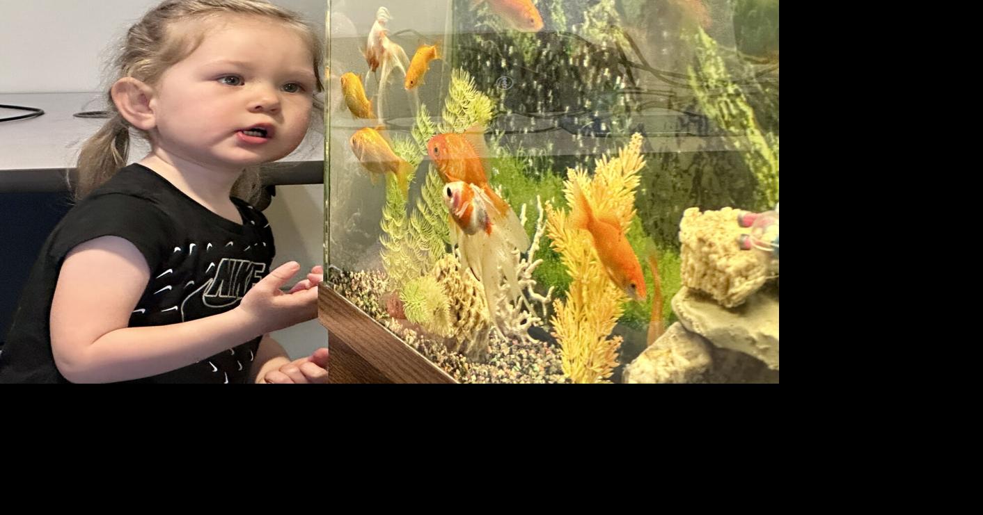 Spies Public Library is back on Saturdays | News | ehextra.com