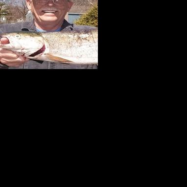 Michael A. Curtis | Obituaries | ehextra.com