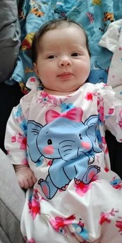 Charlotte Irene Pawlyk | Deaths | ehextra.com