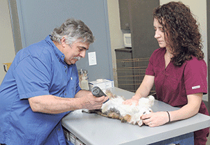New digs for Peshtigo vet clinic | Articles | ehextra.com