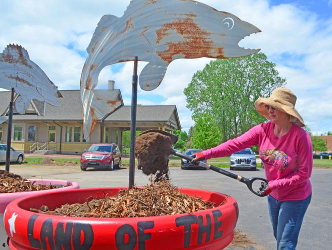 A potted fish story | News | ehextra.com