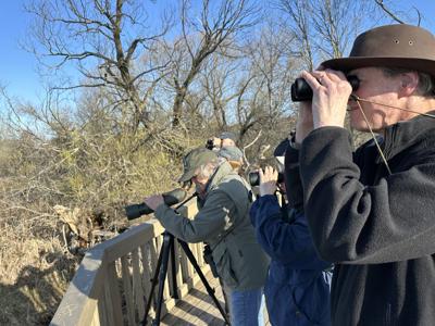 Bird society holds 10th annual Birdfest on Saturday | Community ...
