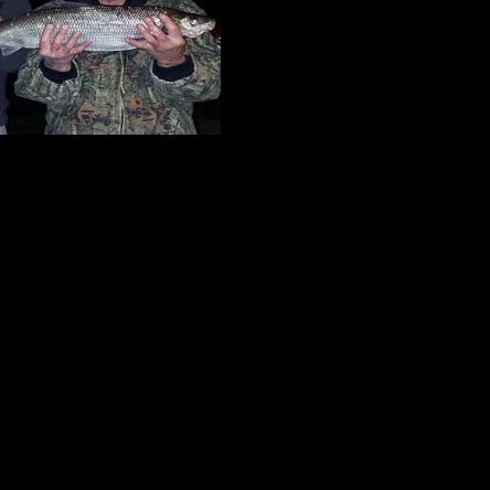 Steven “Steve” Jack Roe | Deaths | ehextra.com