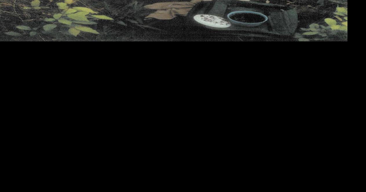 ROBERT CARTER HUEBNER | Deaths | ehextra.com