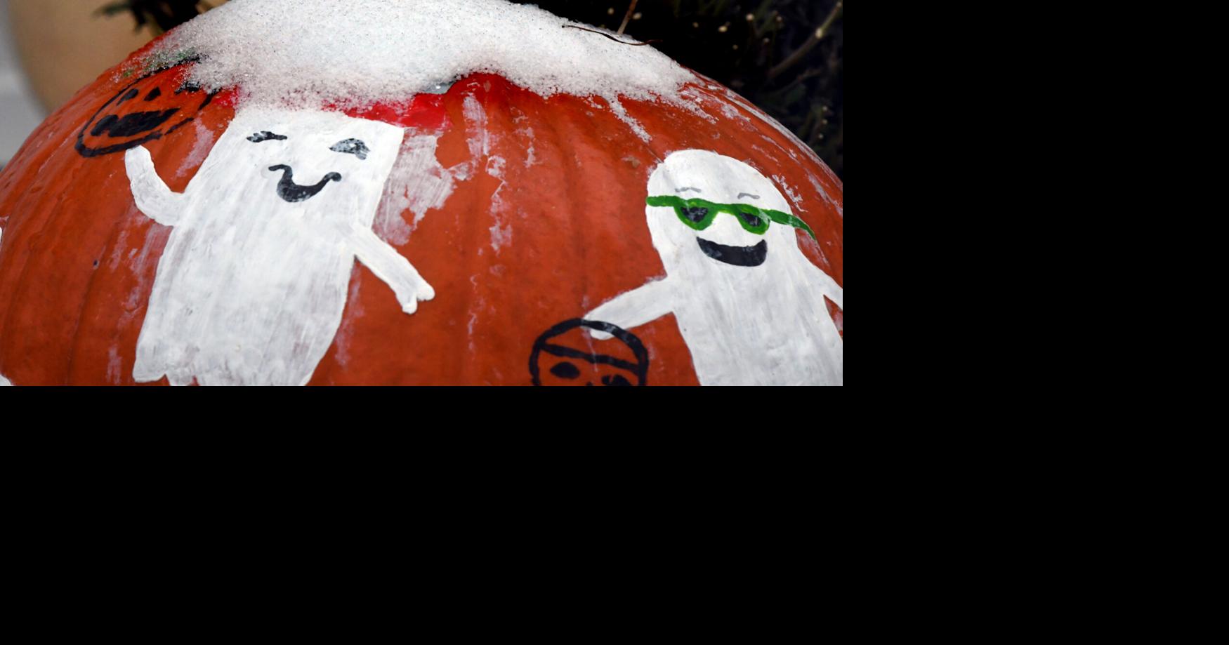 Snow pumpkin | Photos | ehextra.com