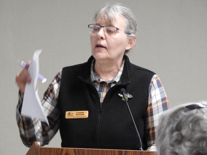 Pike Wild River Cooperative sent back to committee | News | ehextra.com