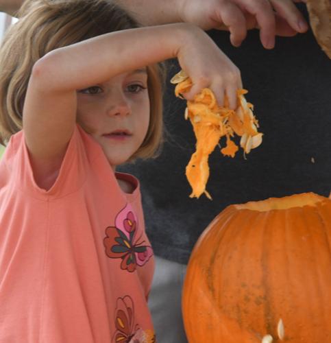 Giant Pumpkin Fest a smashing success | Editors Pick | ehextra.com