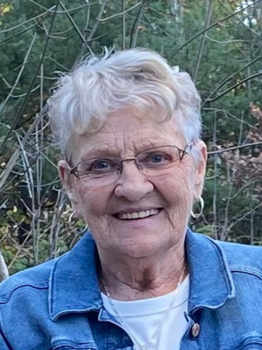 Judith Ann Olson | Deaths | ehextra.com