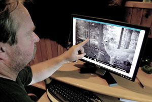 Bigfoot sighting in area | | ehextra.com