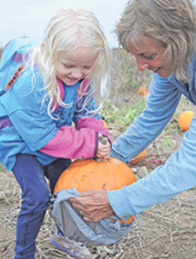 Pumpkin patch pal | | ehextra.com