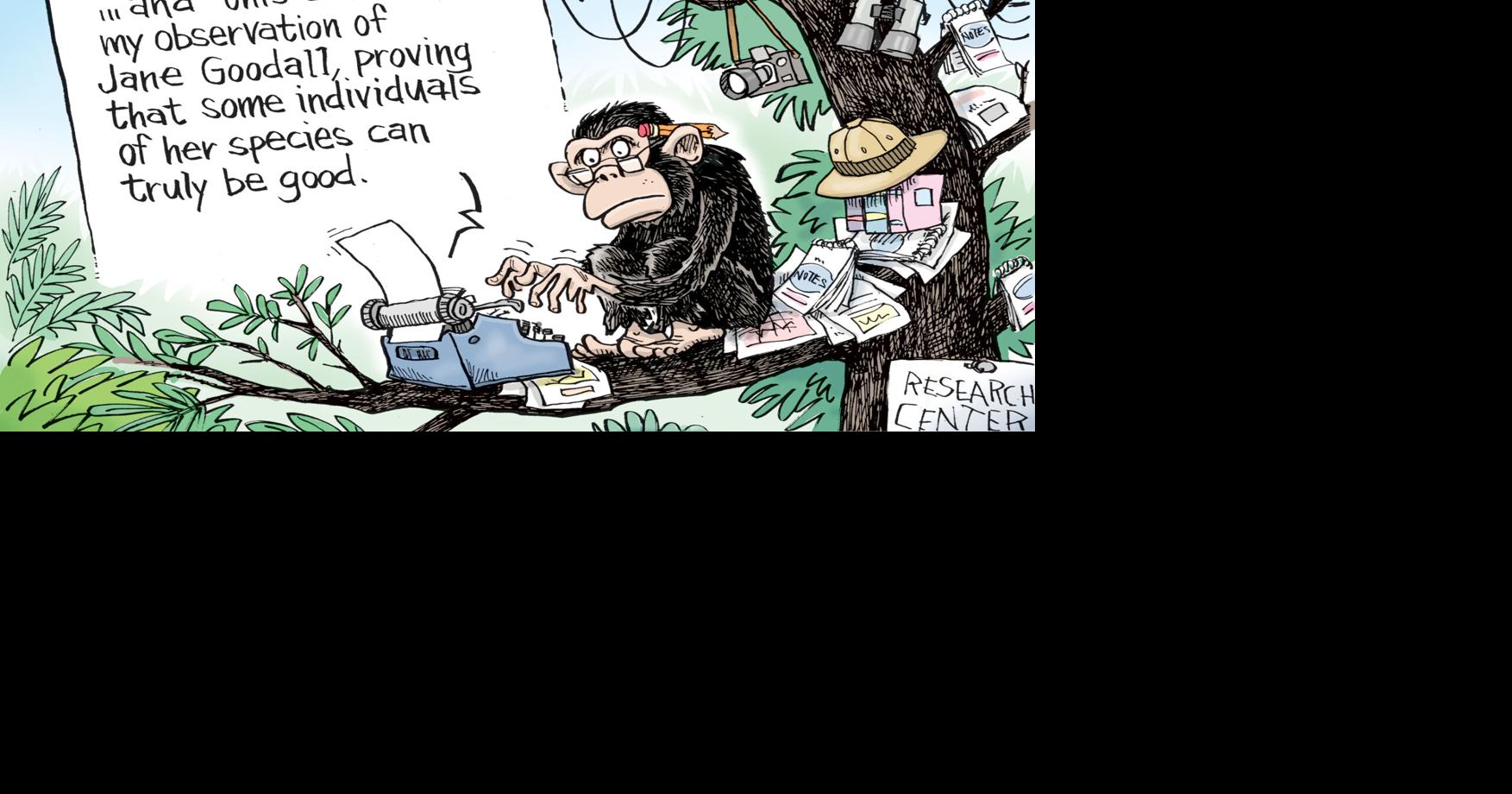 Joe Heller cartoon - Jane Goodall | Opinion | ehextra.com