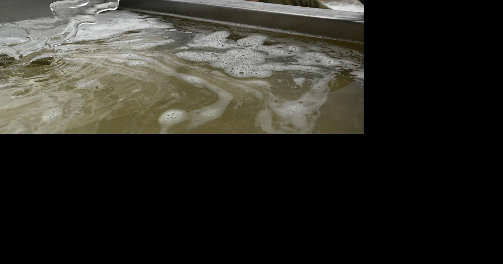 Maple syrup season heading into full swing | News | ehextra.com