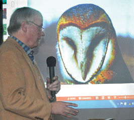 Owls are a Northwoods fixture in the nighttime | Outdoors Articles ...