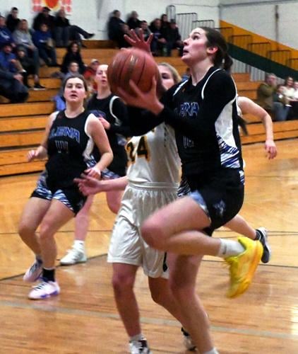 Lena's Brooks named M&O's Most Outstanding Player | Sports | ehextra.com