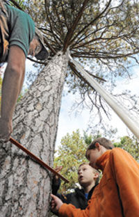 Outdoor learning | | ehextra.com