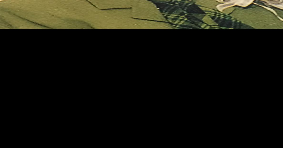 Edith May Wallace obituary | Obituaries | elkvalleytimes.com