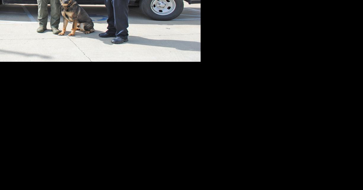 K-9 Bosco joins Fayetteville Police Department | News | elkvalleytimes.com