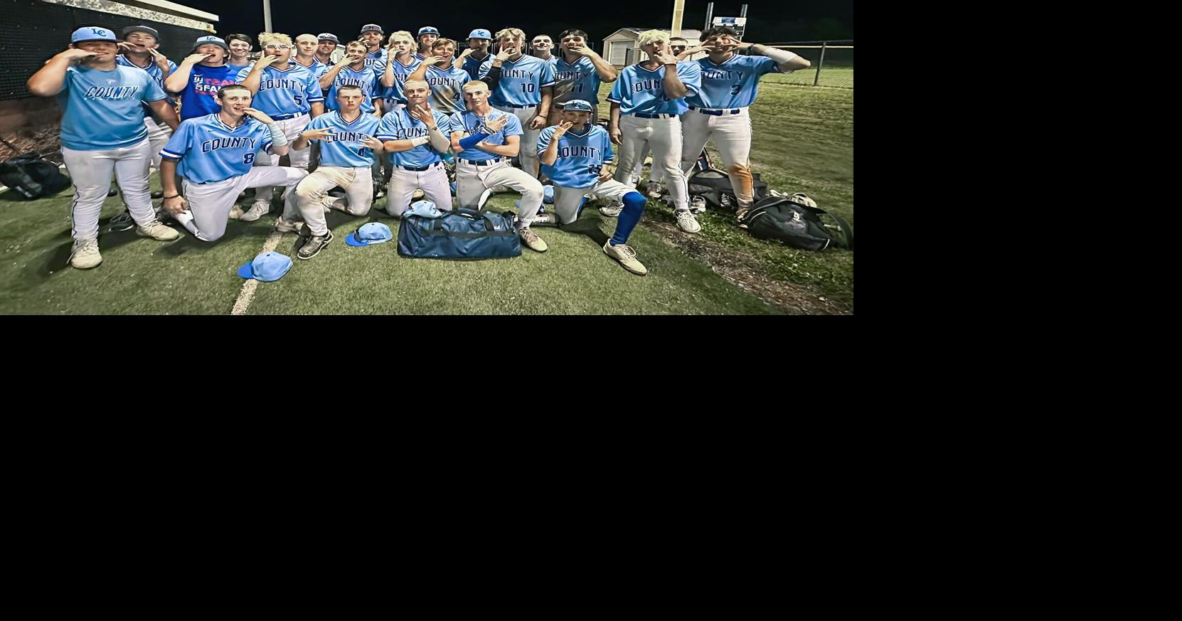 Falcon baseball team is district champions, sectional qualifiers ...