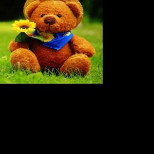 Michael Hyzer Sanders Obituary | Obituaries | elkvalleytimes.com