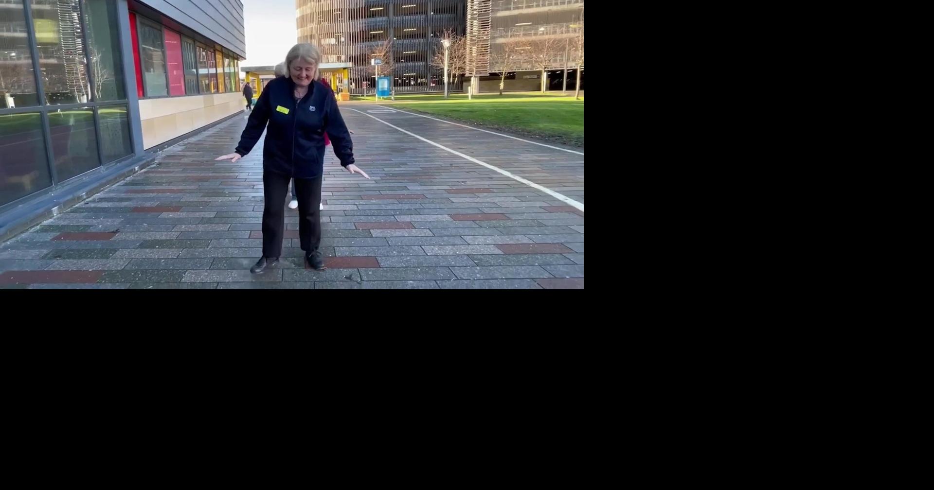 Ice or snow? Officials say you should walk like a penguin | National ...