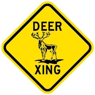 deer crossing 2012