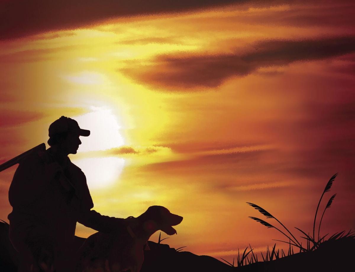 dove silhouette hunting